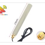 2.4 GHz Antenna – C&T RF Antennas Manufacturer